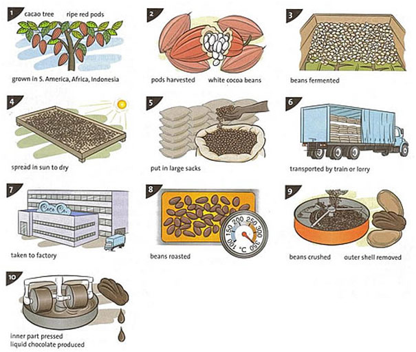 IELTS Writing Task 1 Gap Fill Chocolate Production